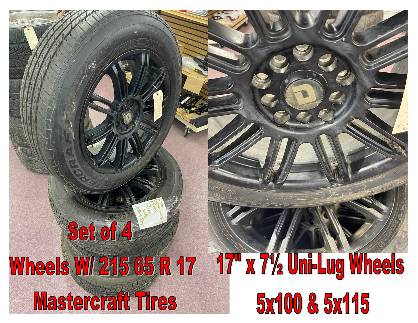 Amazing Savings on Used Auto Parts - Ewe Pullet